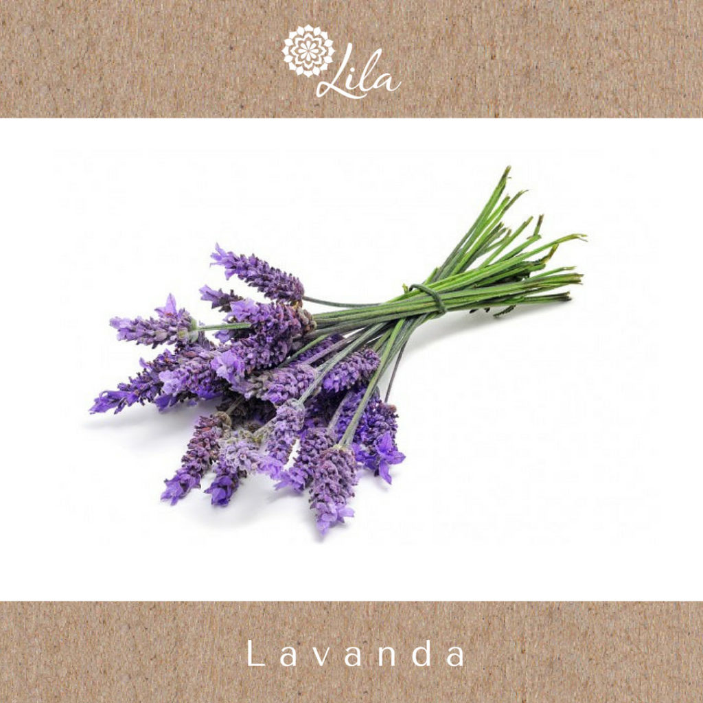 Mist de Lavanda - Lila